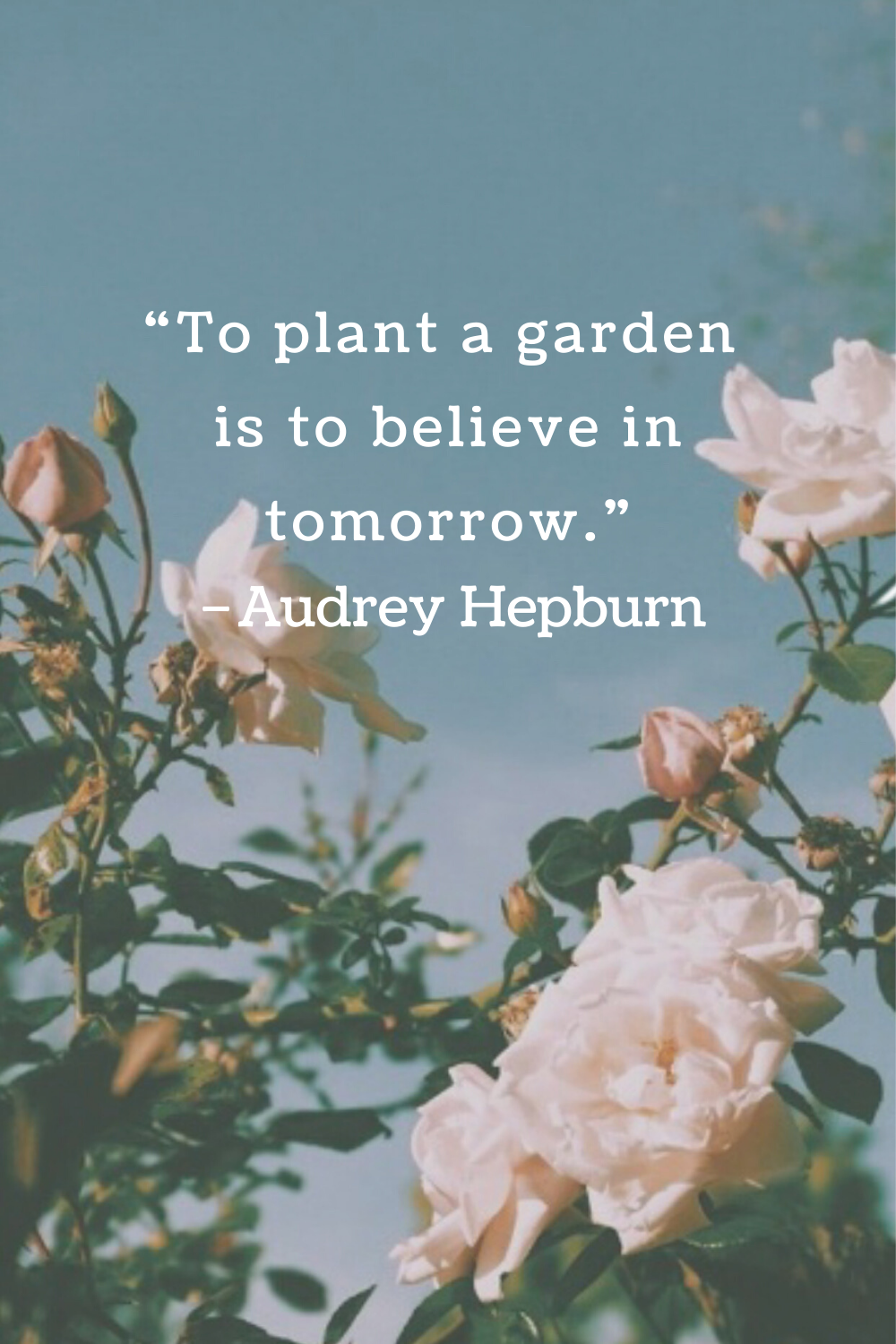 14 Inspirational Flower Quotes for Happier Days - DIY Darlin'