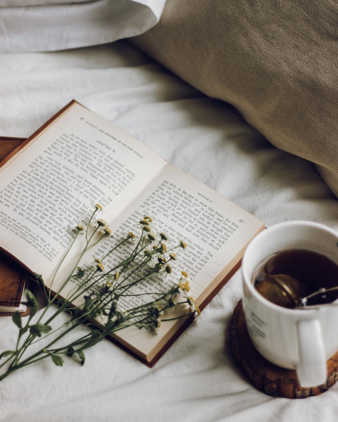 Five for Friday: Book Aesthetic
