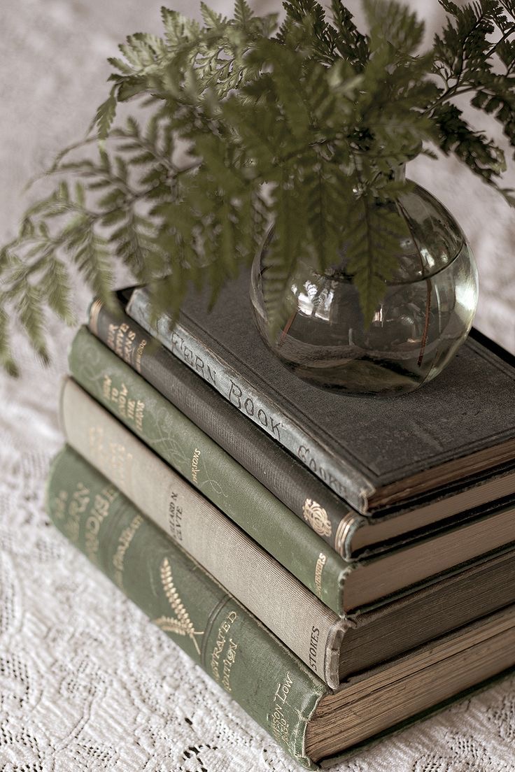 Autumn Aesthetics: Fall Decorating with Your Favorite Books